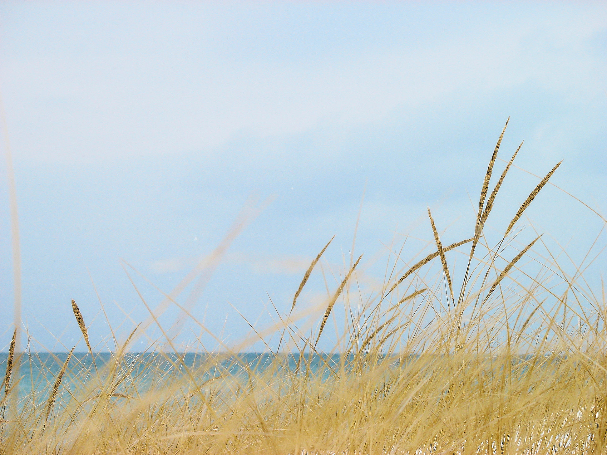 Beach Walks – erik bahle