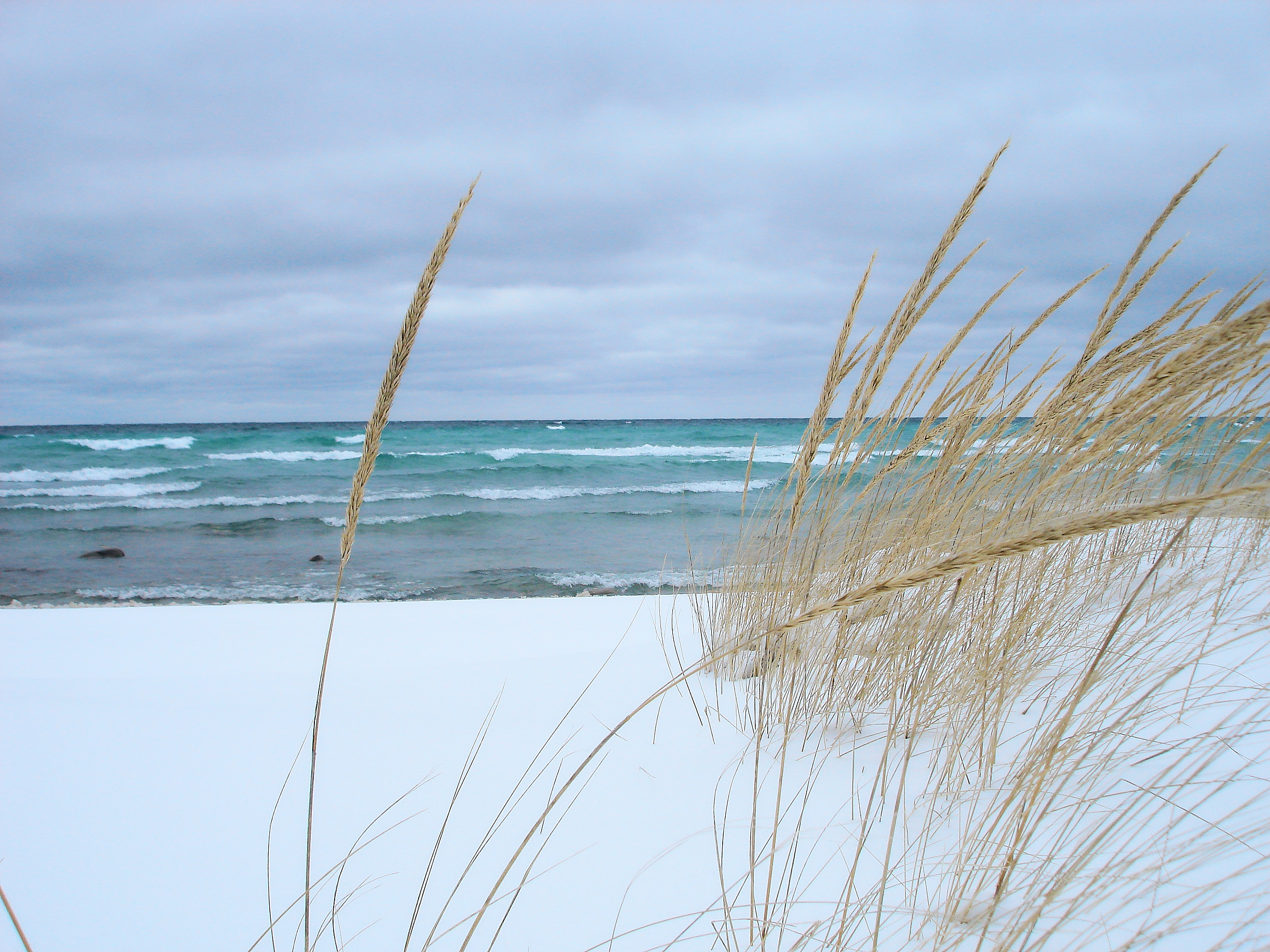 Beach Walks – erik bahle